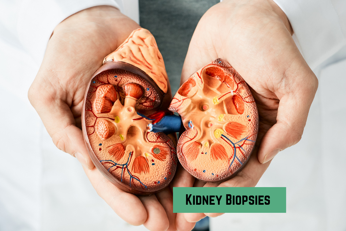 Kidney Biopsy Needles & Biopsy Guns | Diagnosis in Nephrology